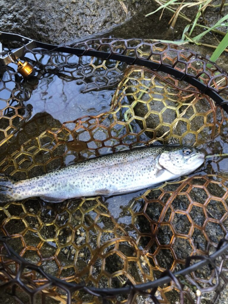 コスパが良い!? Maxcatch Tenkara rodシリーズ